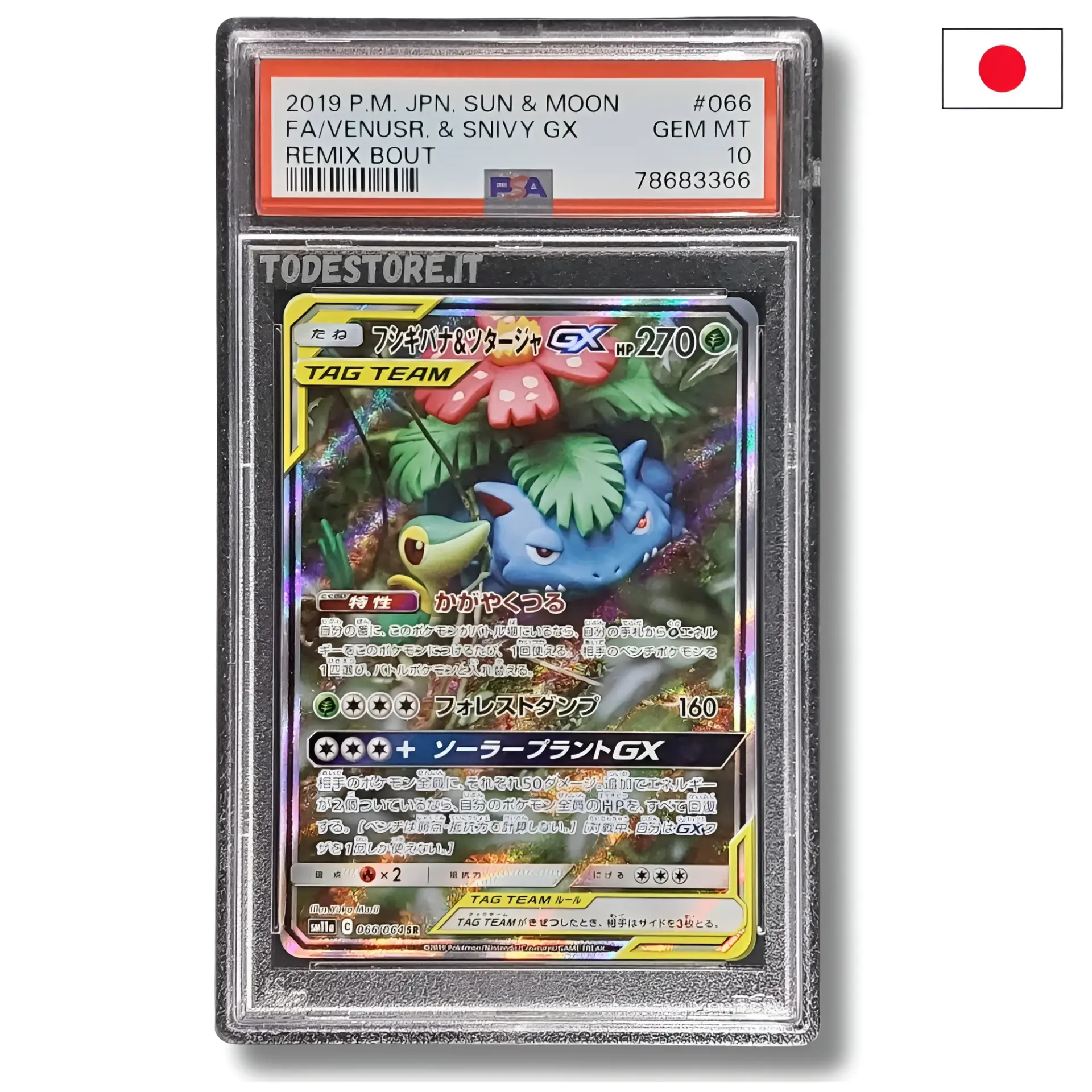 Todestore : Il Tuo Negozio Pokémon Online Preferito