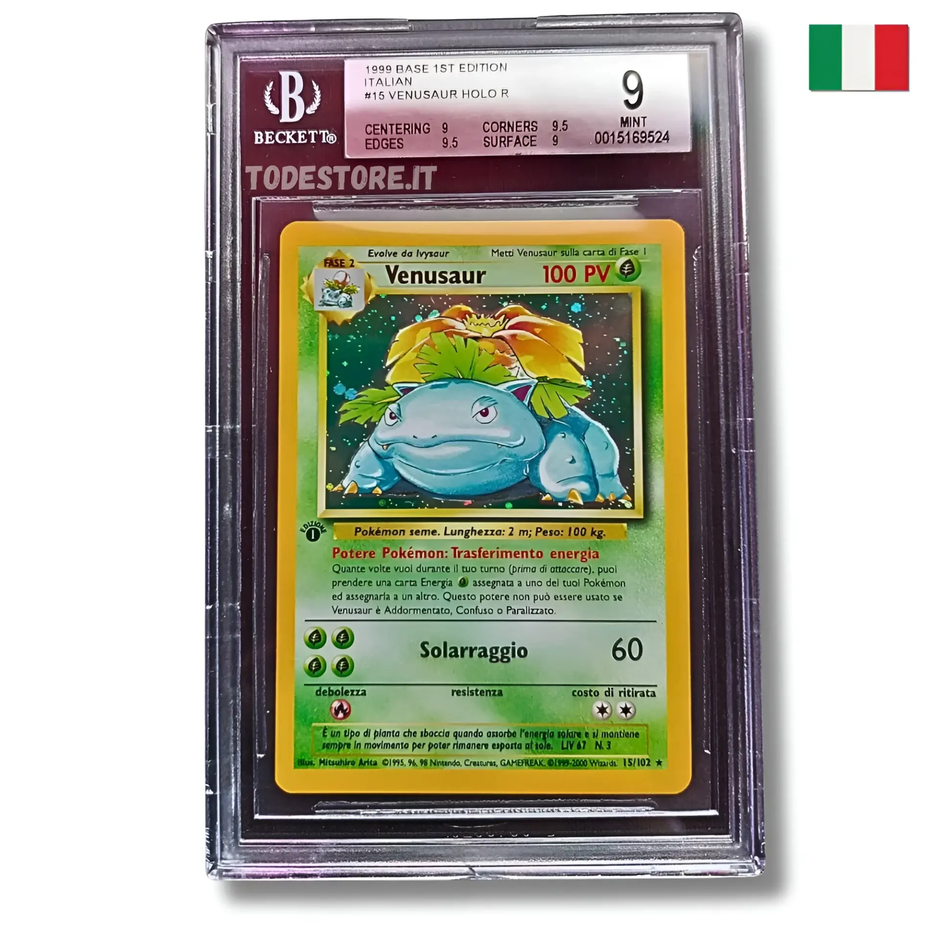 Todestore : Il Tuo Negozio Pokémon Online Preferito